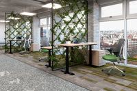 Ascend Escritorio Operativo — ideark